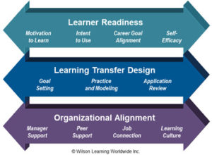 Learning Transfer Model | Transfer of Learning| Wilson Learning