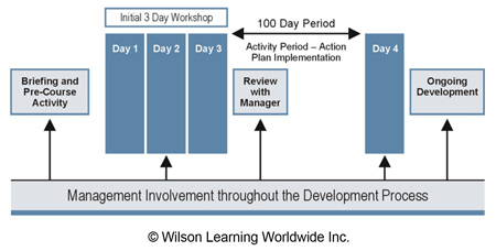 Enhancing Sales Performance Through Business Consulting Skills | Wilson ...