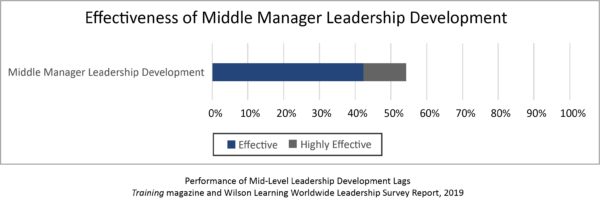 Mid-Level Leadership Development Strategies | Wilson Learning